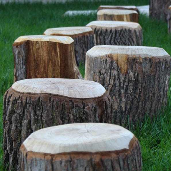 stumps partick